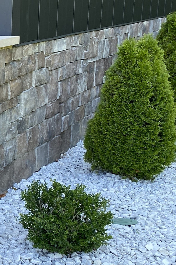 Stone Veneer - Hackett Stone Outback - Mountain View Stone